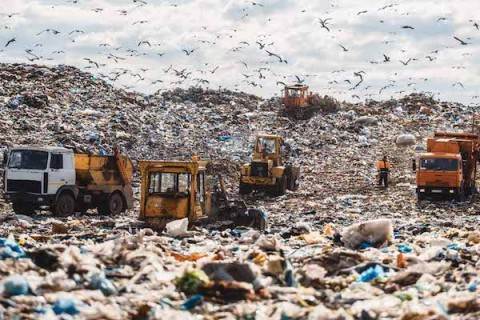 Human Overpopulation And Waste | Friends of Retha