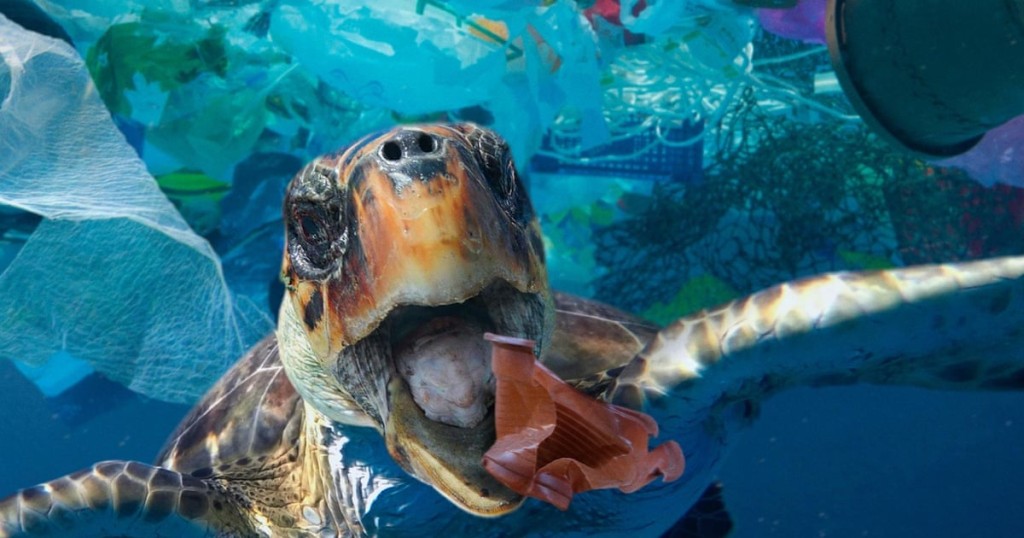 Marine Litter - The True Extent | Friends of Retha